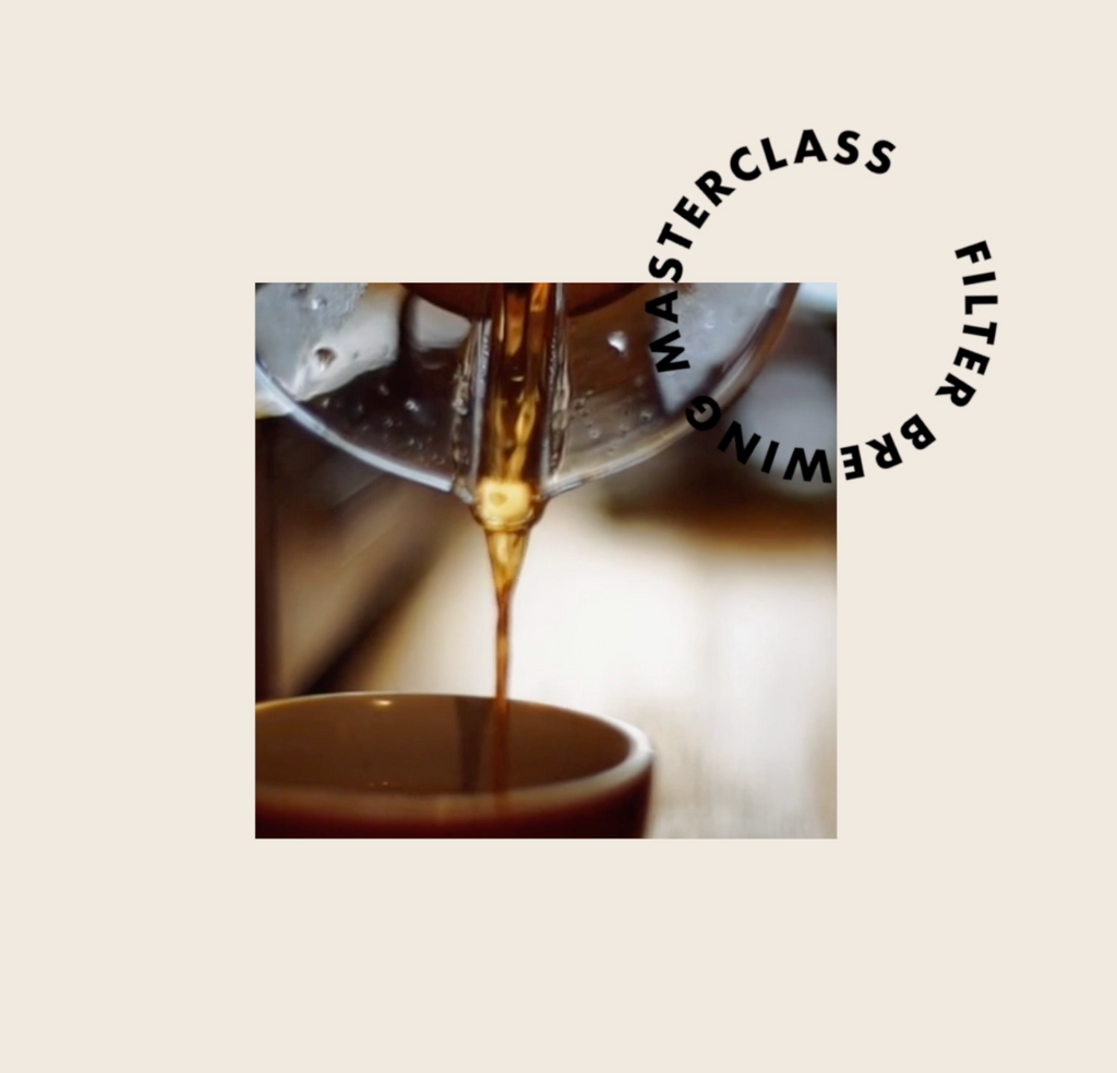 Artisan Roast Coffee Roasters: Brewing Masterclass